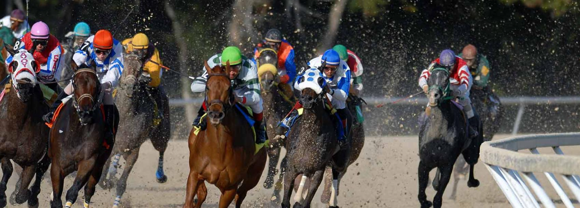 All courses | Moodle UniLasalle Rouen